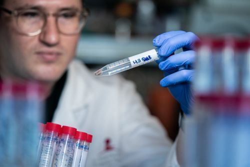 Kanneganti Lab | St. Jude Research