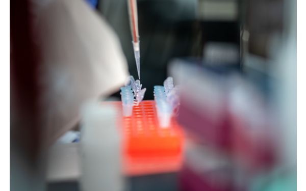 Labs | St. Jude Research