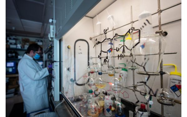 Labs | St. Jude Research