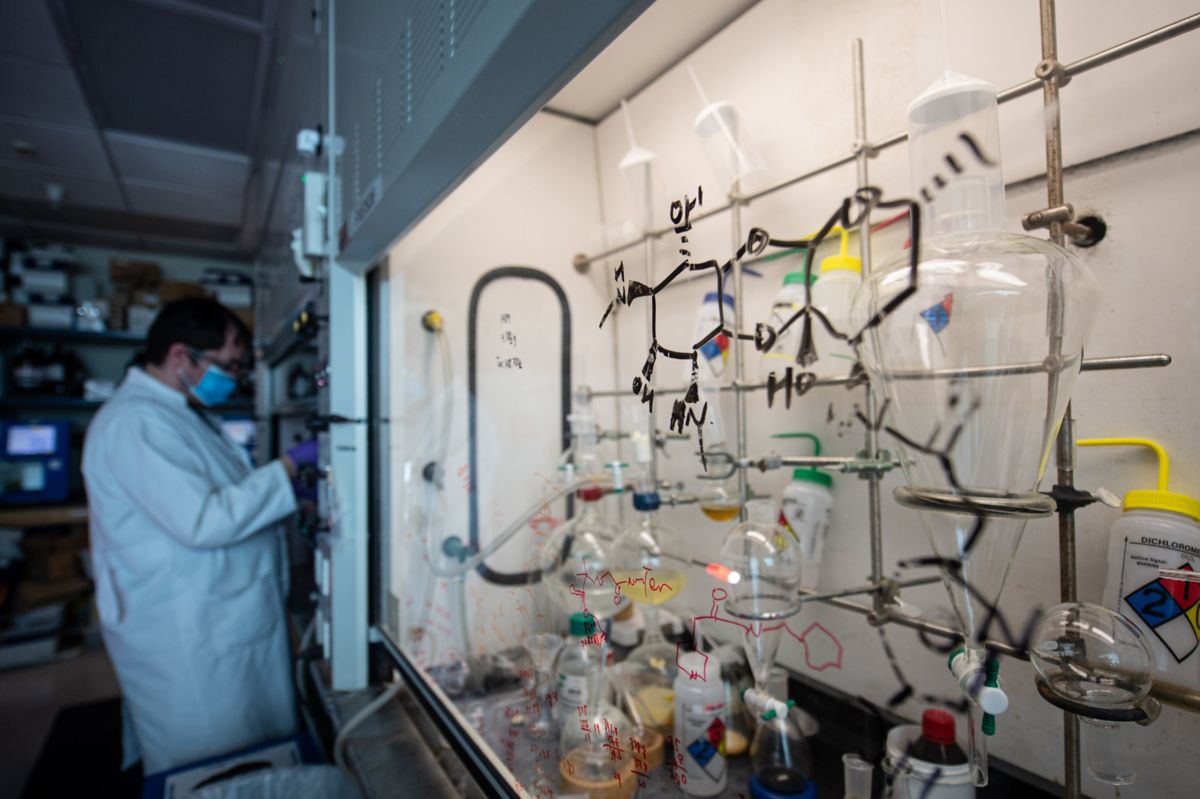 Lee Lab | St. Jude Research