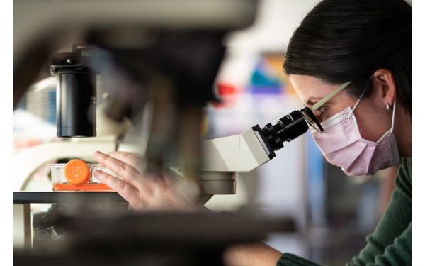 Labs | St. Jude Research