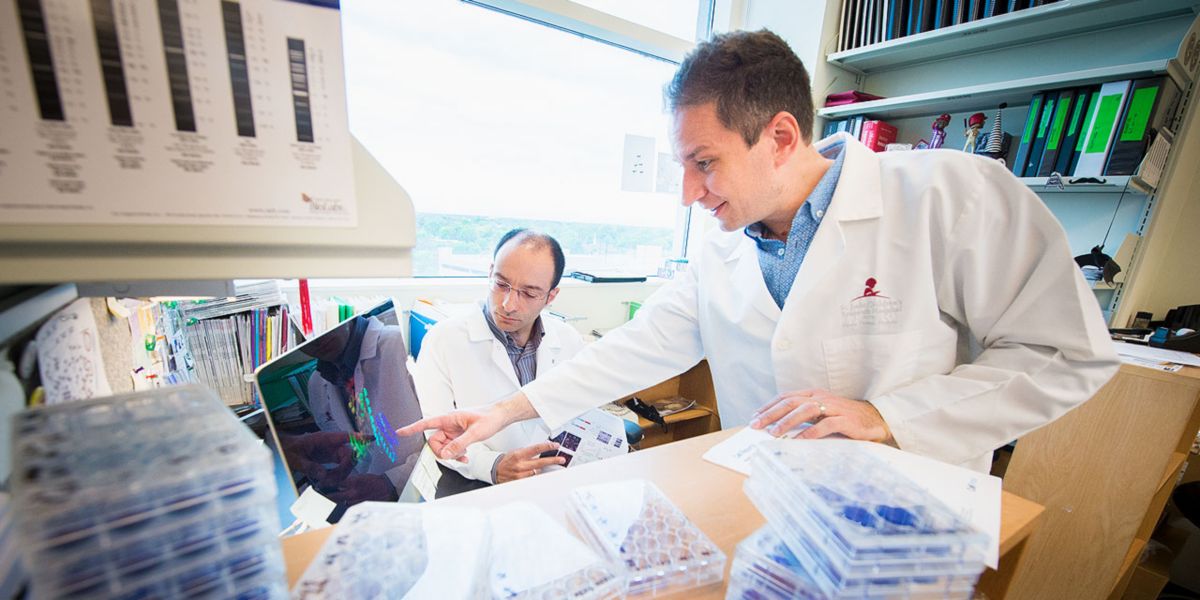 Cancer-fighting ninja protein may offer clue to create self-harming ...