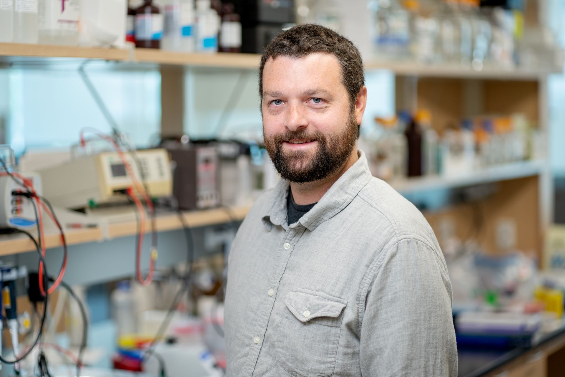 Zakharenko Lab | St. Jude Research