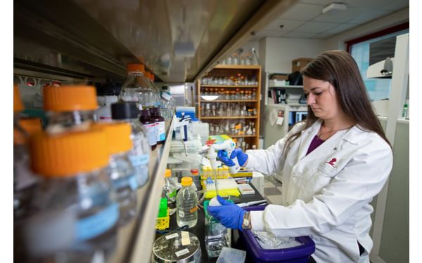 Labs | St. Jude Research