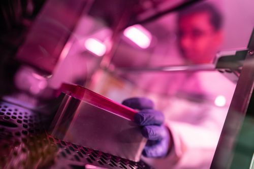 Anand Patel Lab | St. Jude Research