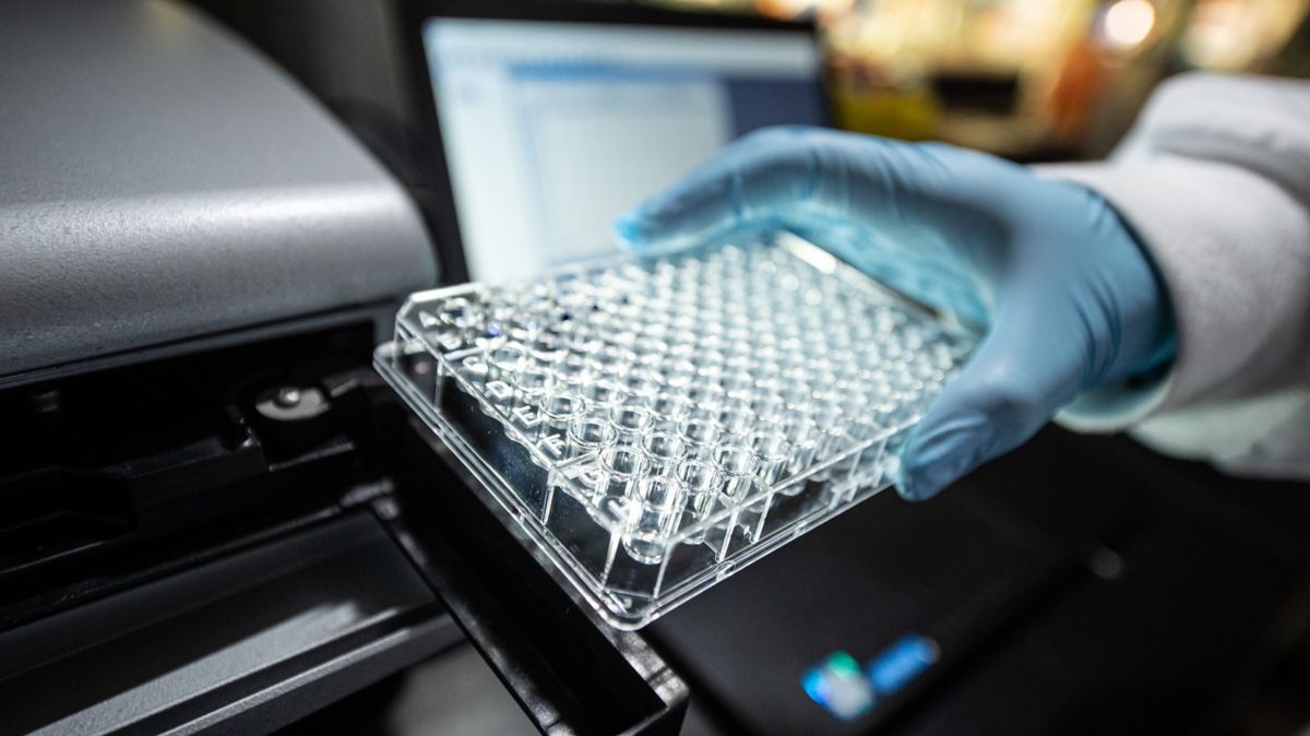 Peng Lab | St. Jude Research