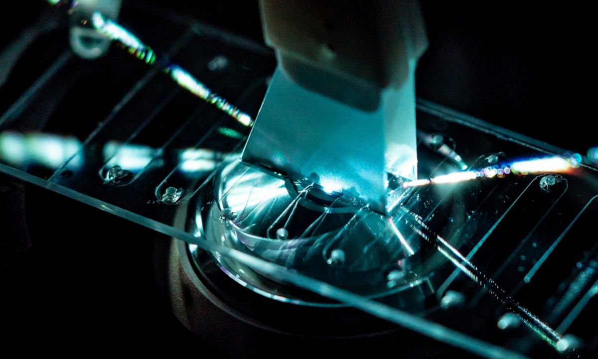 Lighting the way to knowledge | St. Jude Research