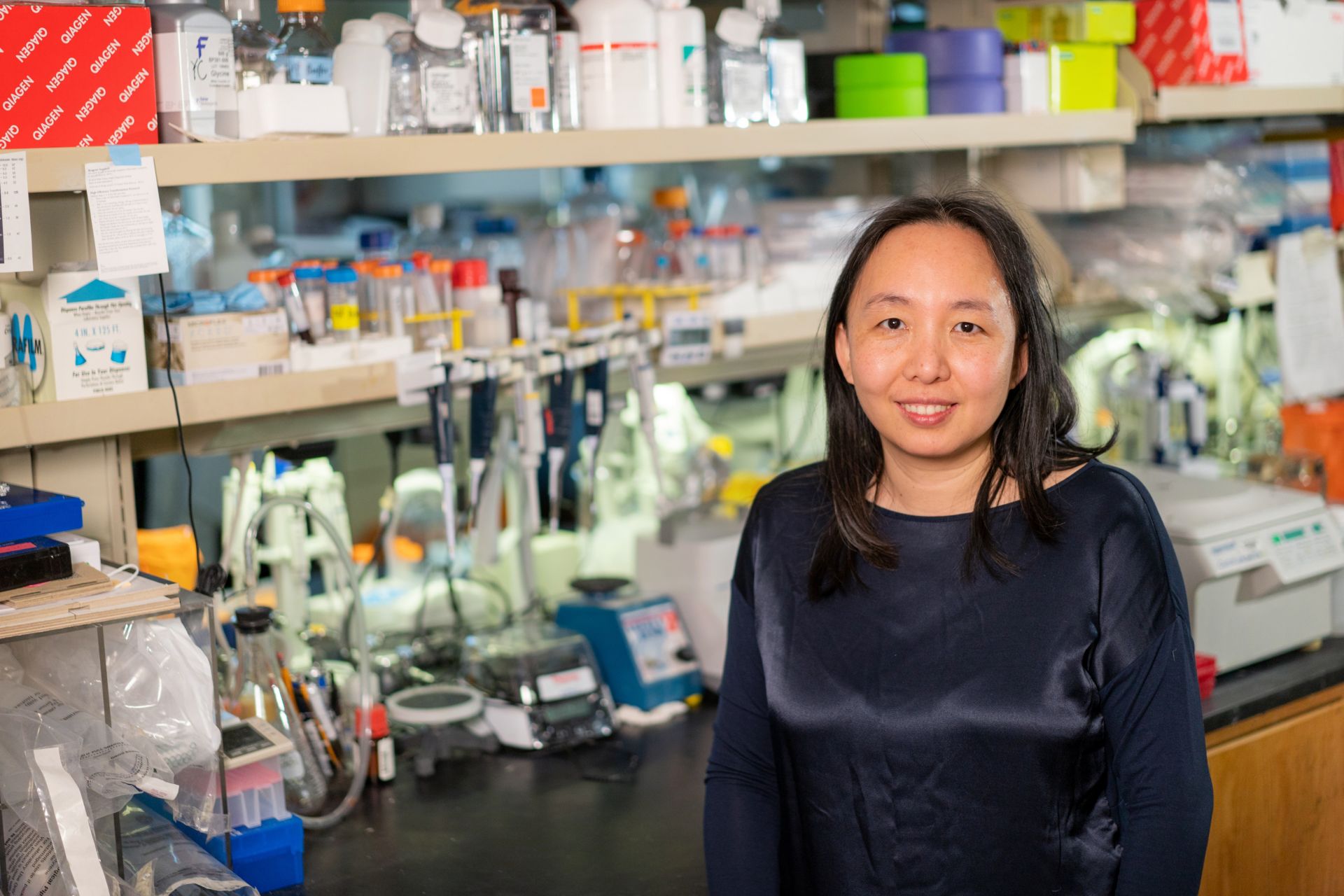 Cheng Lab | St. Jude Research