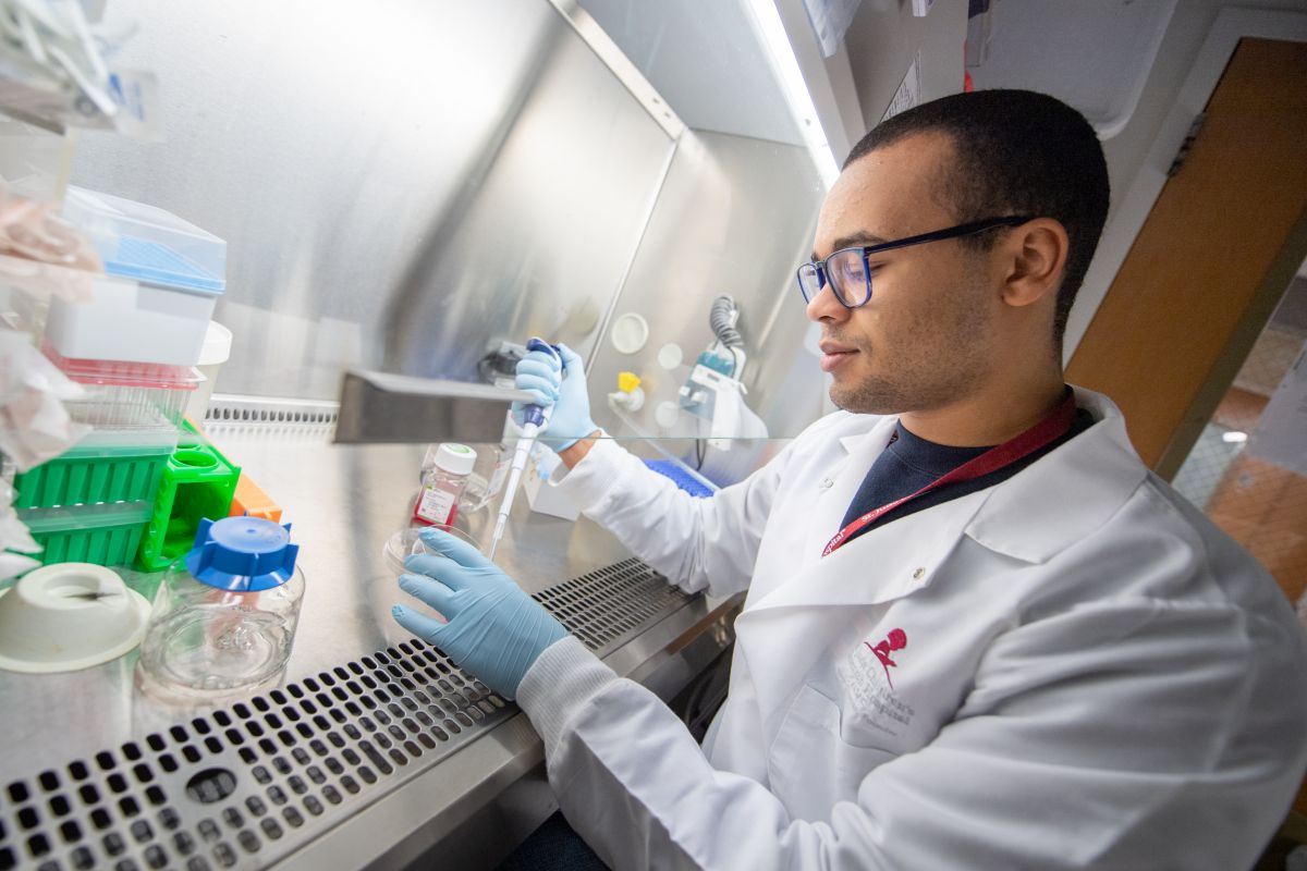 Biomedical Sciences PhD Program | St. Jude Graduate School