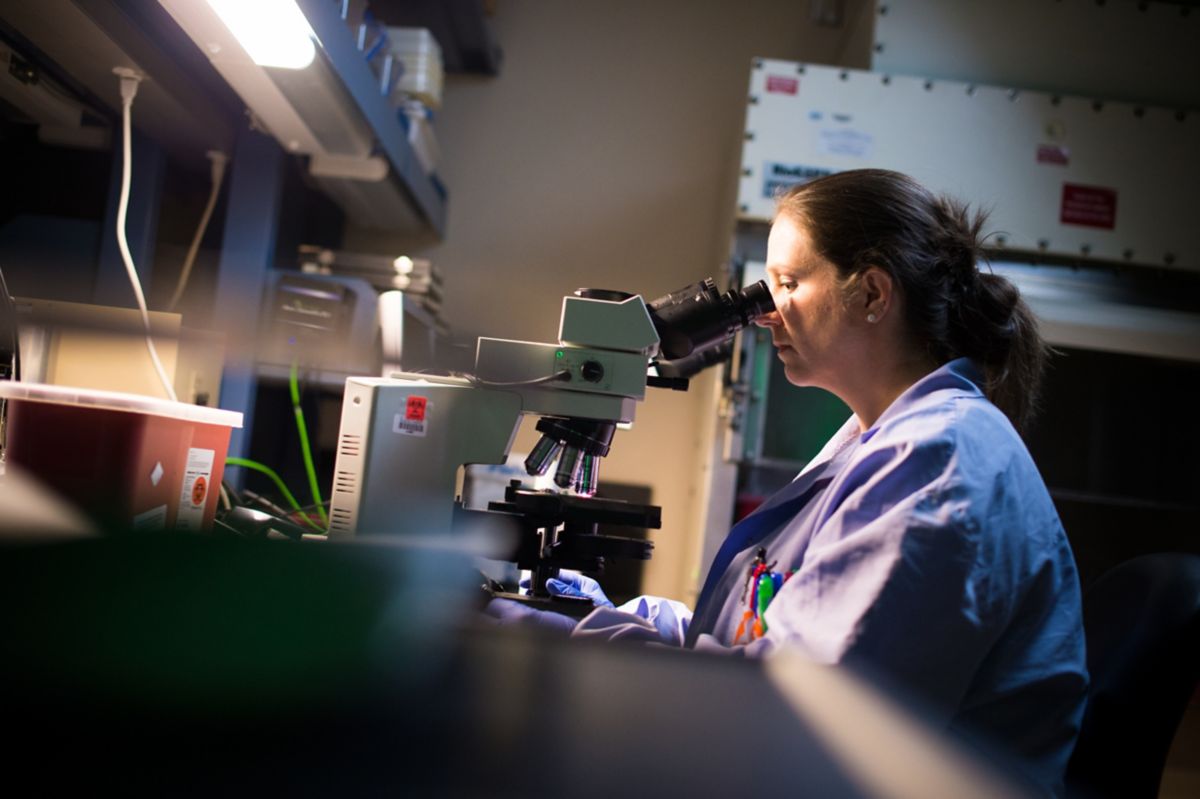 Department of Pathology | St. Jude Research