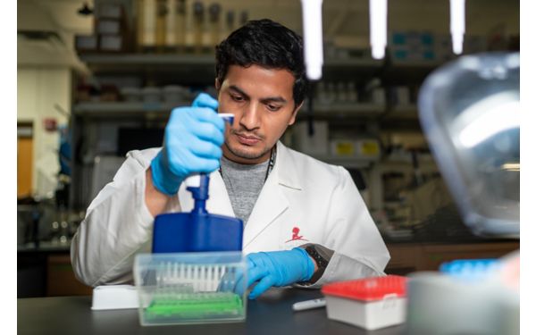 Labs | St. Jude Research