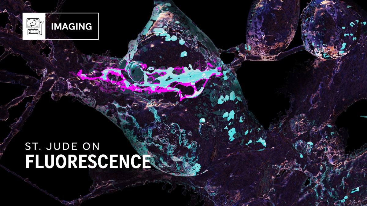 A light in the dark: Illuminating the biology of catastrophic pediatric ...