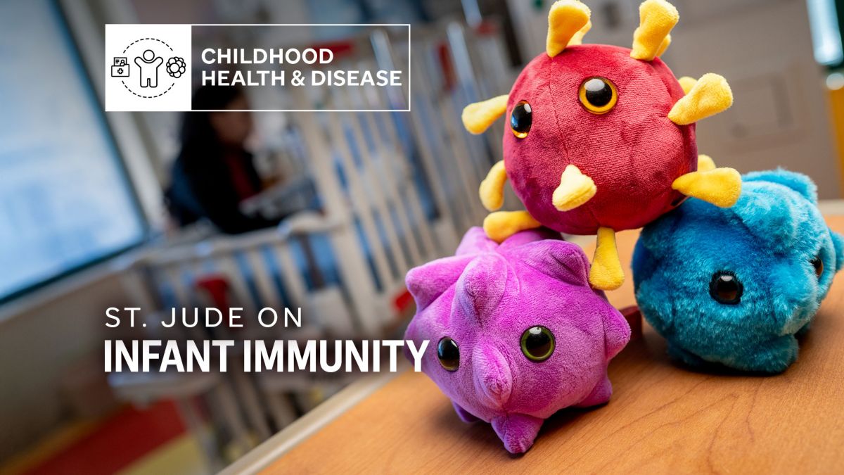 The unique defenses of the infant immune system | St. Jude Research