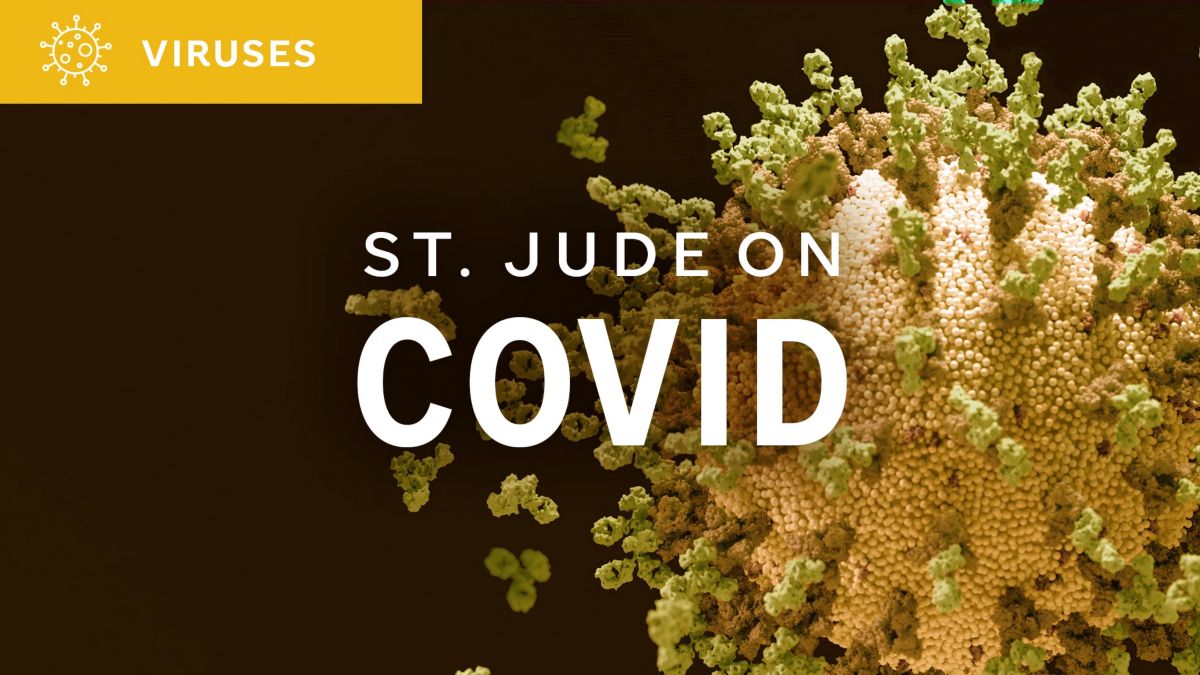 Why are we still studying COVID-19? | St. Jude Research