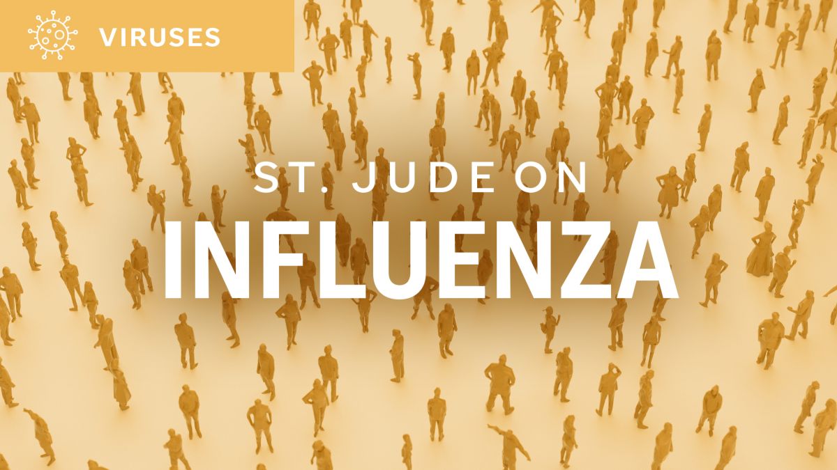 St. Jude flu fighters: Researchers tackle influenza virus | St. Jude ...