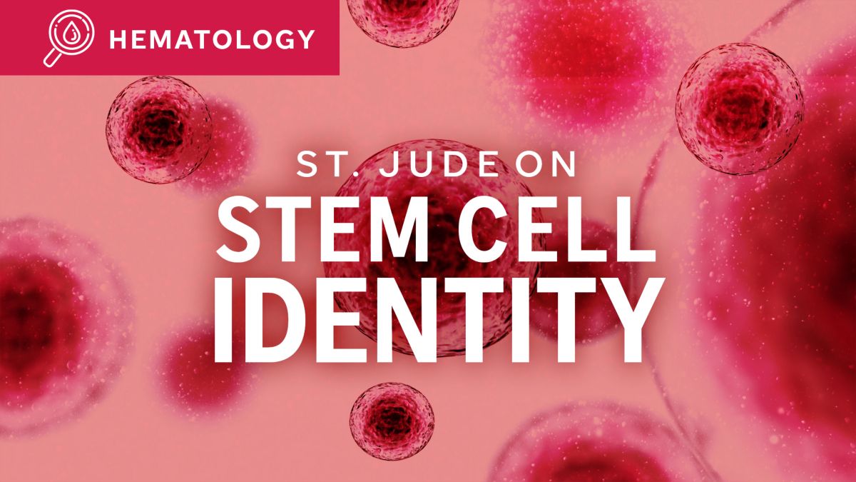 Understanding cancer thanks to the boundless potential of stem cells ...