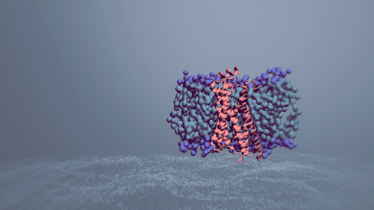 Center of Excellence for Data-Driven Discovery | St. Jude Research