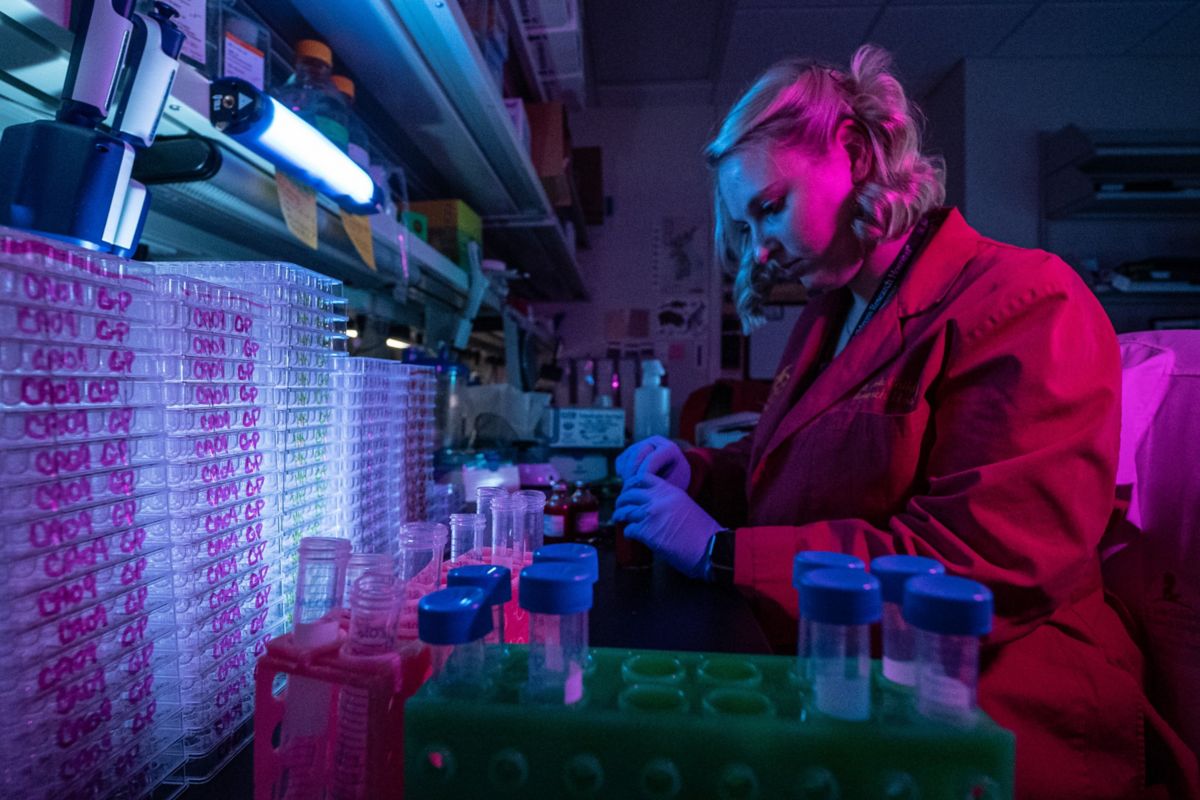 Webby Lab Team | St. Jude Research