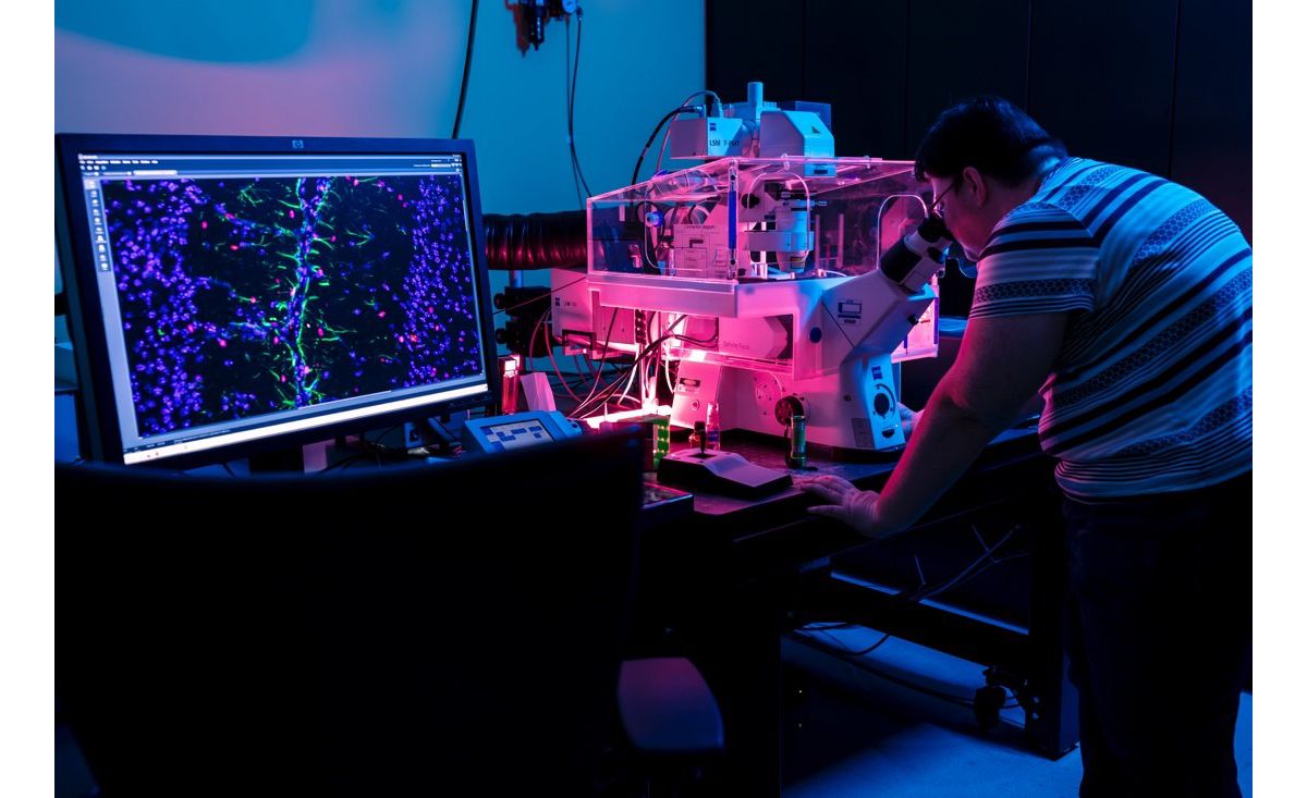 Why St. Jude | St. Jude Research