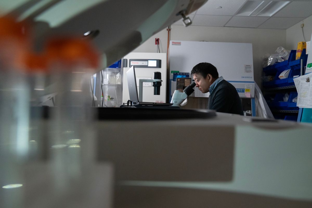 Jonathan Yen Lab | St. Jude Research