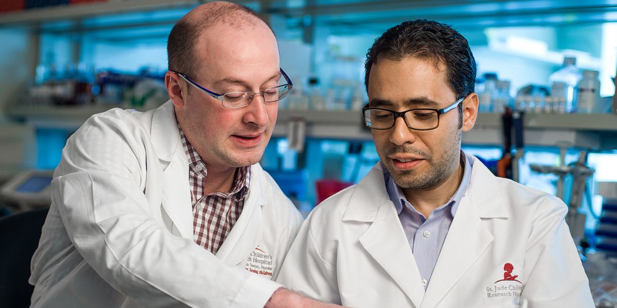 Cells trained to recognize returning infections | St. Jude Research