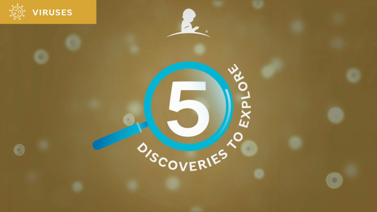 St. Jude on Viruses: 5 Discoveries to Explore | St. Jude Progress