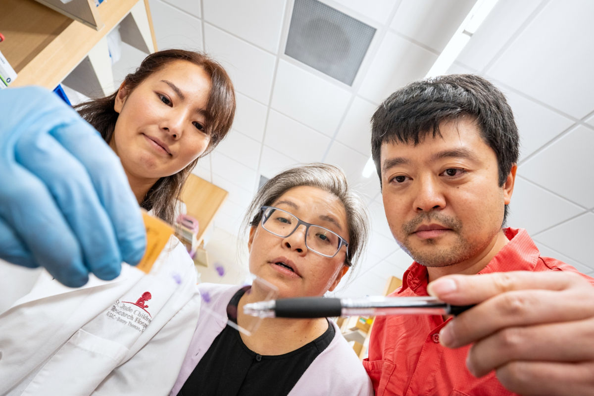 The life and death of cells in early brain development | St. Jude Progress