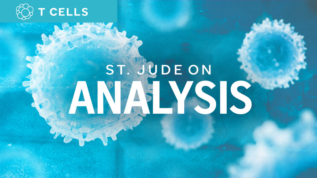 How scientists visualize and analyze T cells | St. Jude Progress