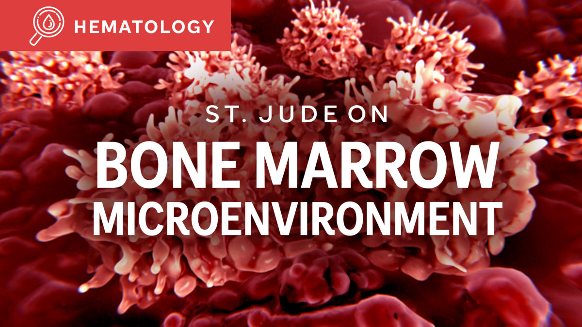 Like seed and soil: the interplay between cells and their environment ...