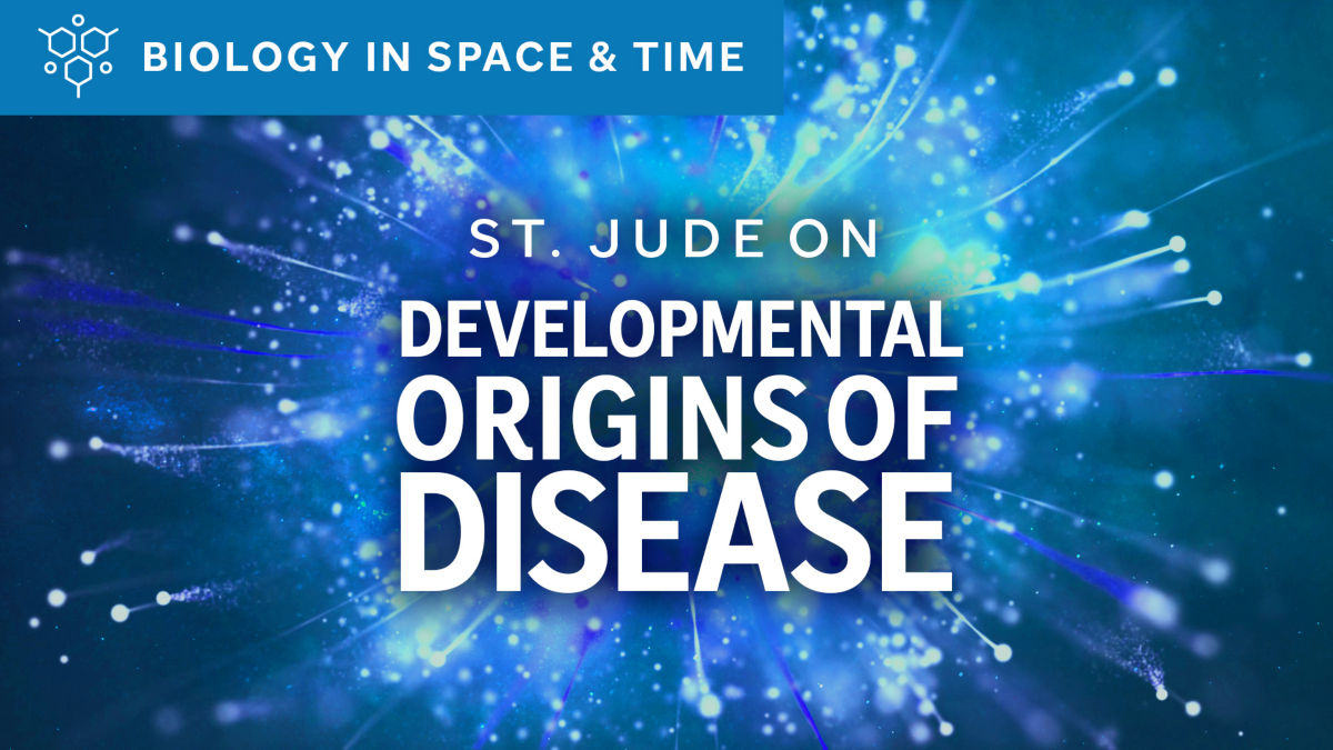 St. Jude scientists answer the question ‘when does cancer start?’ | St. Jude Progress